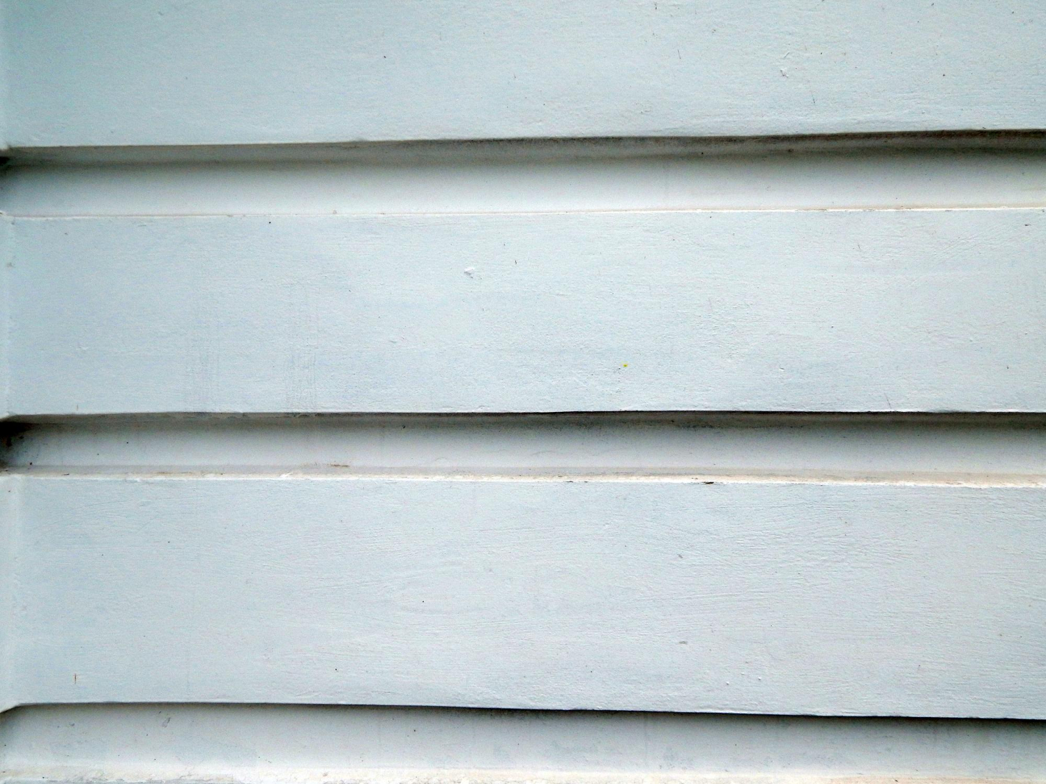 That Green Stuff on Your Siding? It’s Not Just Ugly—It’s Eating Away at ...